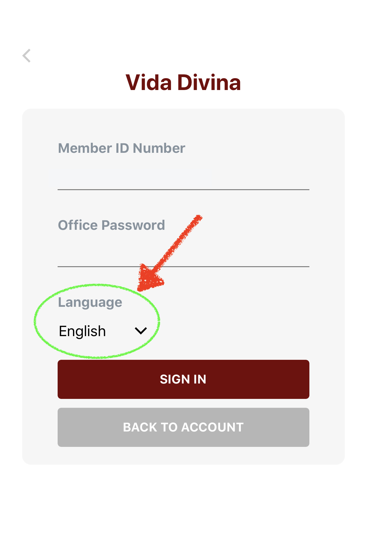 How to update your language preference in Office Power + App – Vida Divina