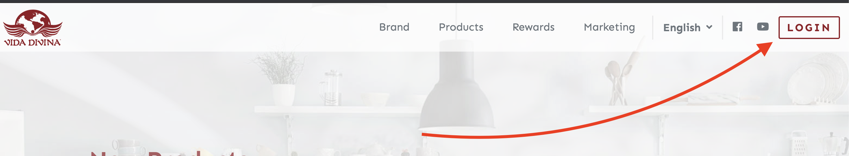 How to Verify your Account with Onfido (With Video) – Vida Divina